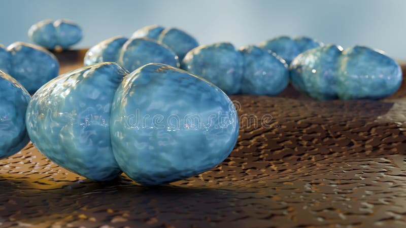 Enterococcus O Vre Enterococcus Faecalis Stock de ilustración ...