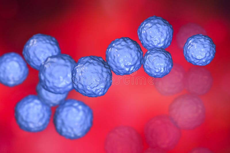 Enterococo De Las Bacterias, Ejemplo Stock de ilustración - Ilustración ...