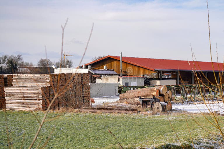 An Enterprise for Processing Timber into Timber in the System of the ...