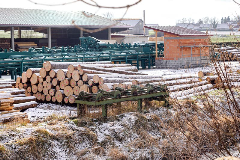 An Enterprise for Processing Timber into Timber in the System of the ...