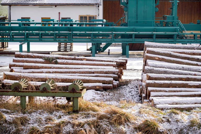 An Enterprise for Processing Timber into Timber in the System of the ...