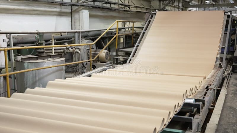 Enterprise for the Production of Cardboard Containers. Stock Video ...