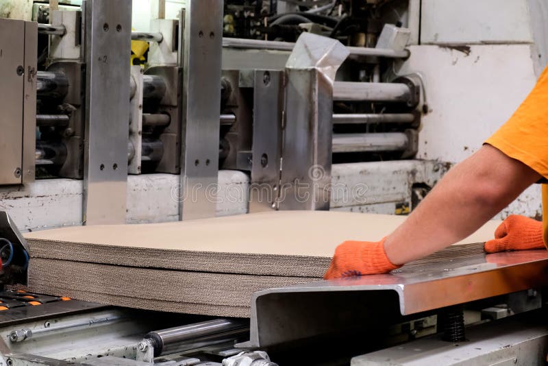 Enterprise for the Production of Cardboard Containers . Worker Put ...