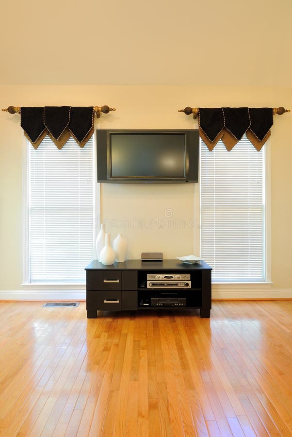 Entertainment System stock image. Image of home, homes - 16736779