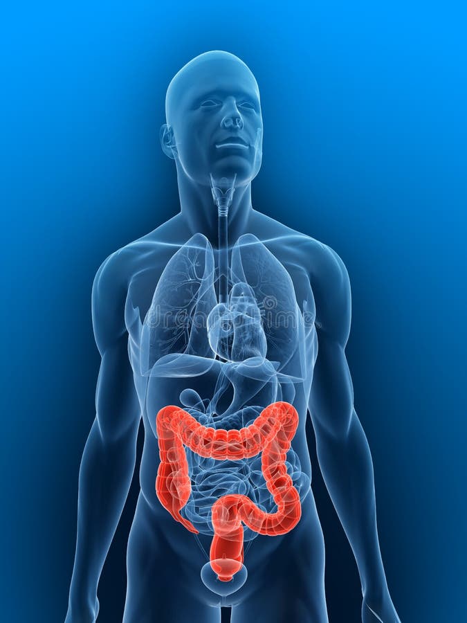 Der Doppelpunkt stock abbildung. Illustration von wissenschaft - 115598325