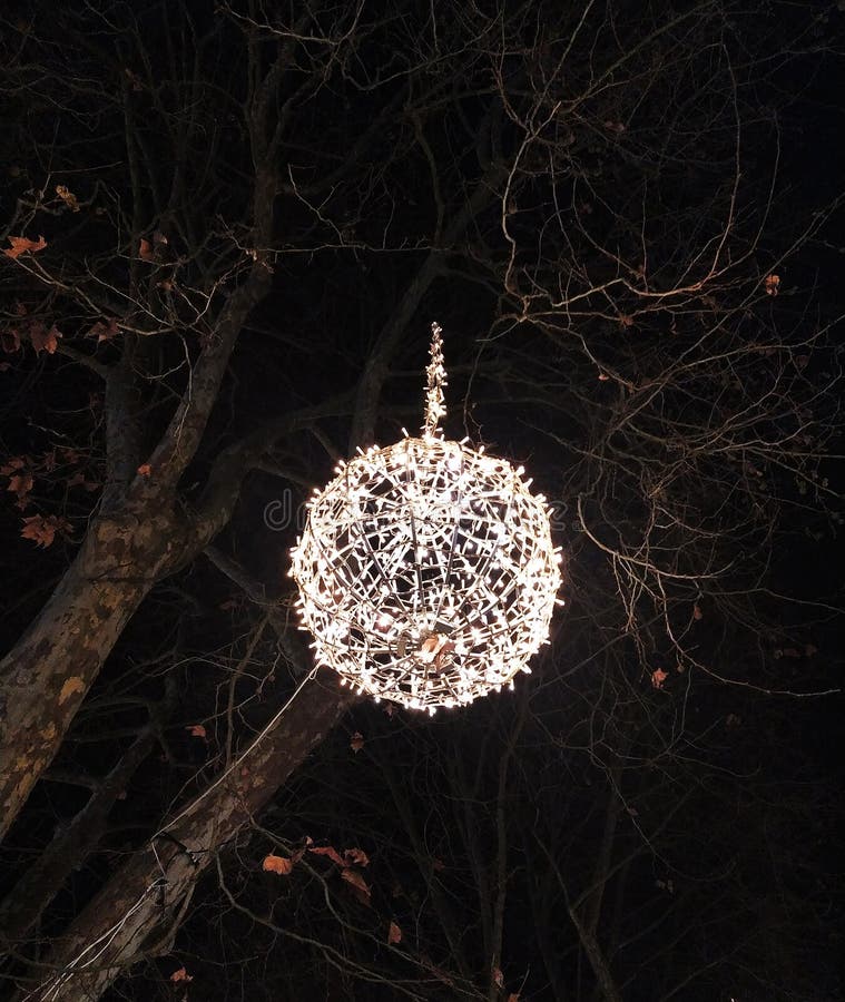 Enthralling Nighttime Scene: a Luminous Spherical Light Sculpture Hangs Amidst Bare Tree ...
