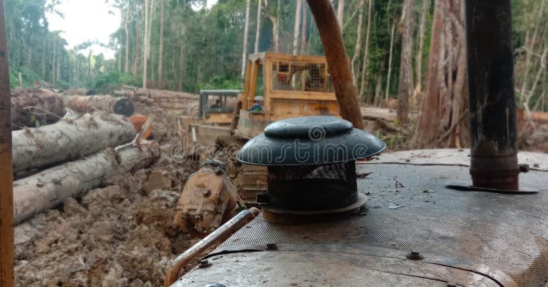 Enthusiasm To Work Hard and Keep Trying Stock Photo - Image of work ...