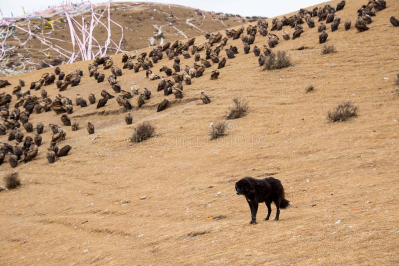 Entierro de Rtar foto de archivo. Imagen de cielo, despojar - 53533196