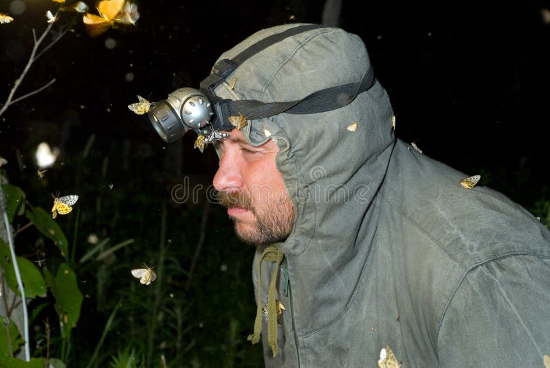 Entomologist 11 stock image. Image of person, entomologist - 15736807