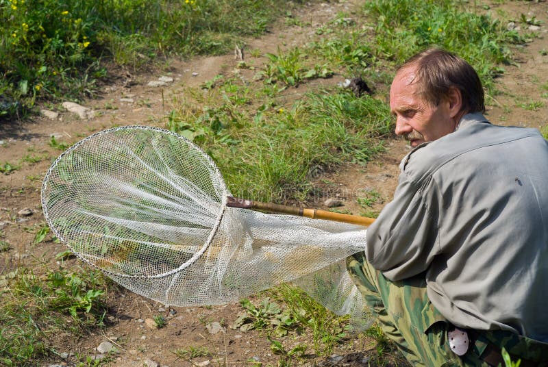 Entomologist 31 stock photo. Image of insect, wilderness - 20094322