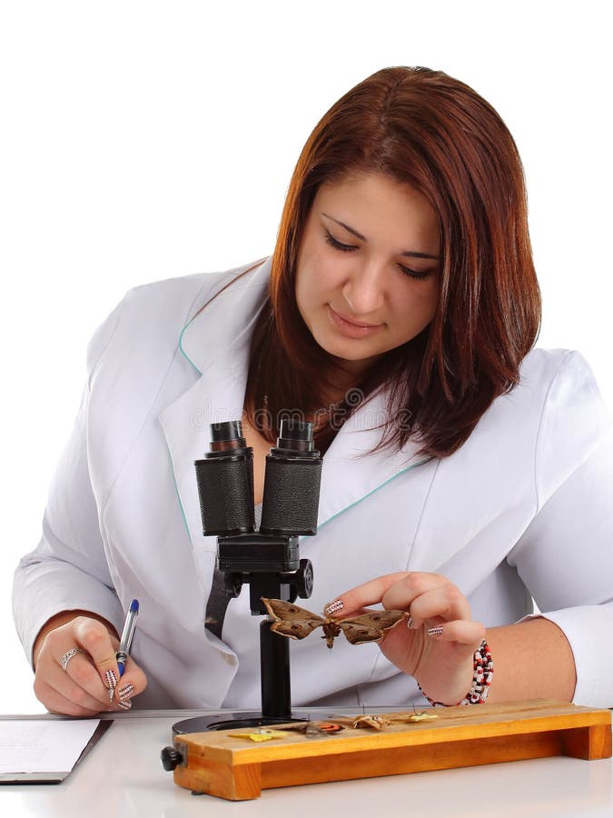 Entomologist Identifying Butterflies in Laboratory Stock Image - Image ...