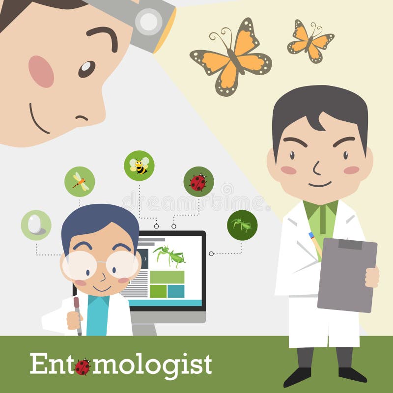 Cartoon Entomologist Stock Illustrations – 273 Cartoon Entomologist ...