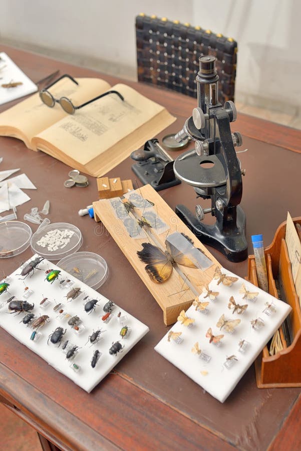 Entomologist Office with Tools Stock Photo - Image of analysis, biology ...