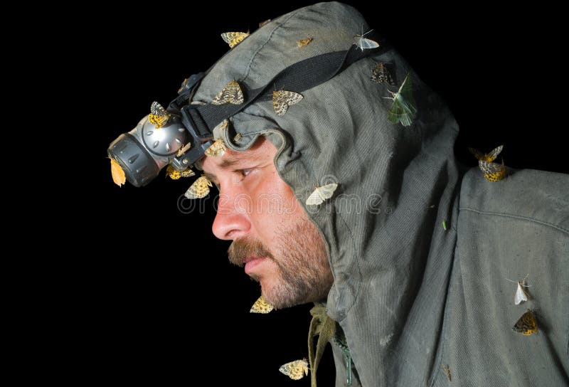 Entomologiste 28 photo stock. Image du masculin, jour - 69402046