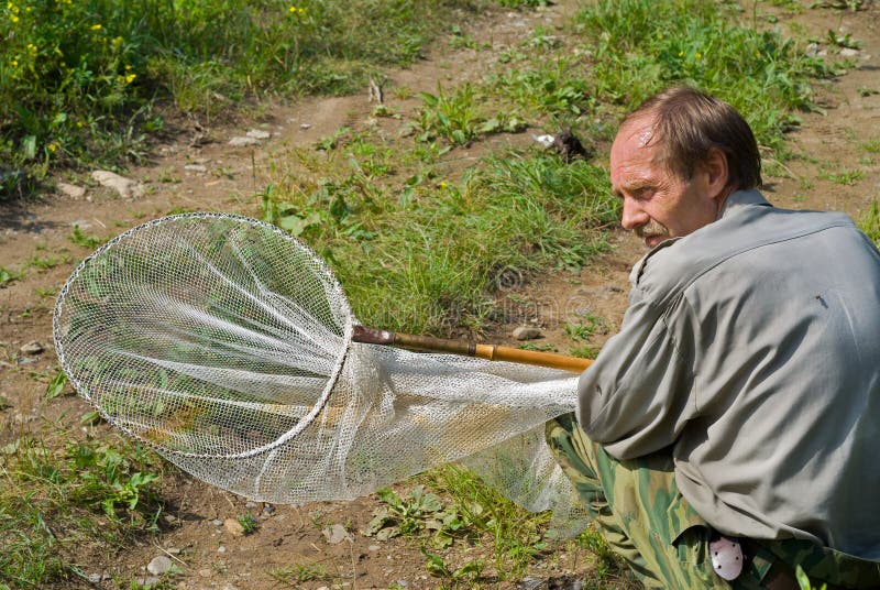 Entomologiste 11 image stock. Image du entomologiste - 15736807