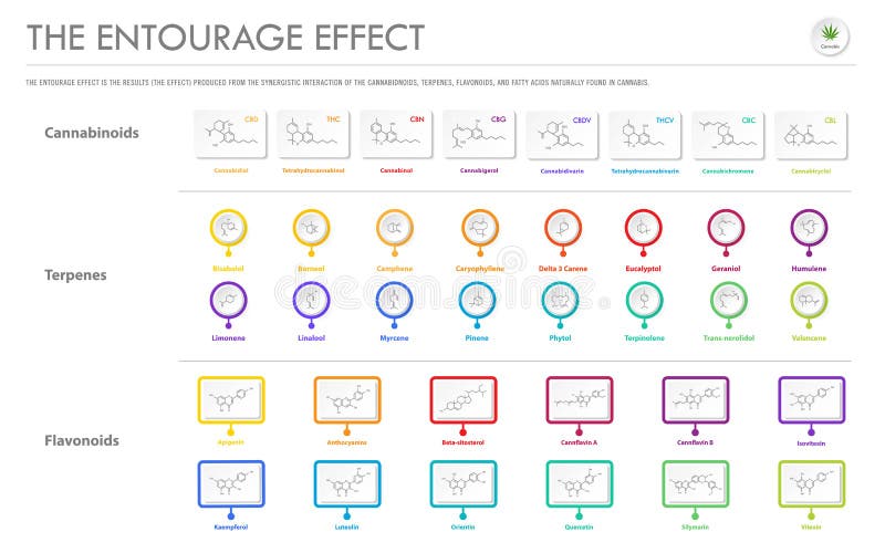 The Entourage Effect with Structural Formulas Horizontal Business ...