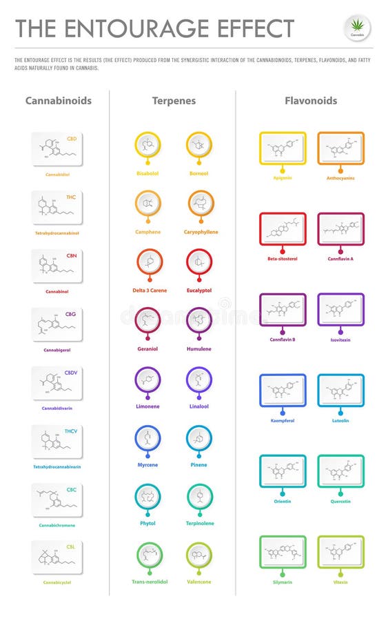 The Entourage Effect with Structural Formulas Vertical Business ...