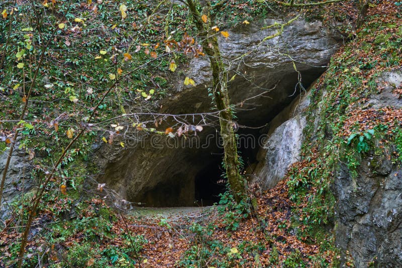 Entrada de uma caverna imagem de stock. Imagem de parque - 133151427