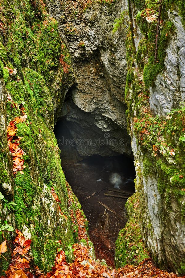 Entrada de una cueva imagen de archivo. Imagen de piedra - 133152395