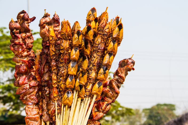 Entrails and insect BBQ stock photo. Image of background - 29805064