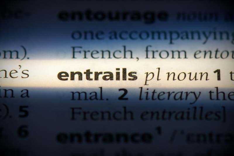 Entrails stock image. Image of entrails, dictionary - 161578469