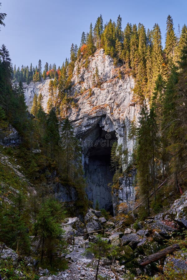 Entrance of a big cave stock image. Image of cavern - 203004205