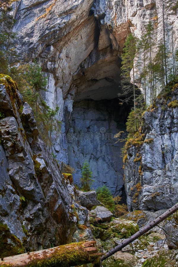 Entrance of a big cave stock photo. Image of geologic - 203025862
