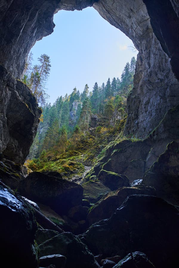 Entrance of a big cave stock image. Image of scenery - 203025883