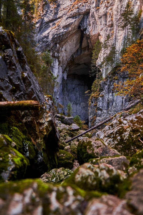 Entrance of a big cave stock image. Image of caving - 203025971