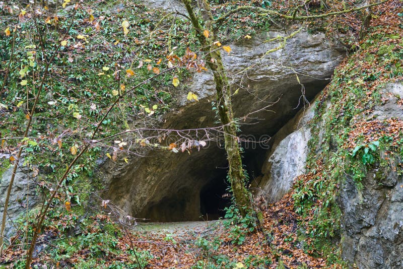 Entrance of a big cave stock image. Image of ancient - 203025981