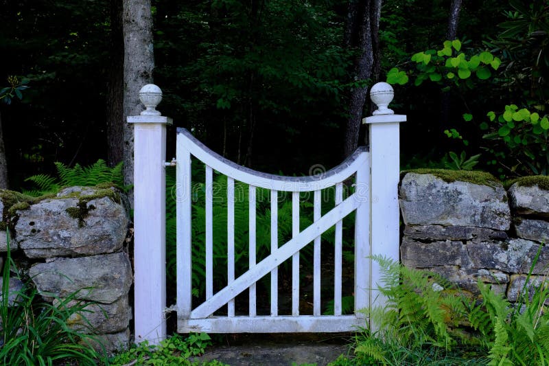 Entrance Gate To Dark Forest Stock Photo - Image of dark, green: 162159198