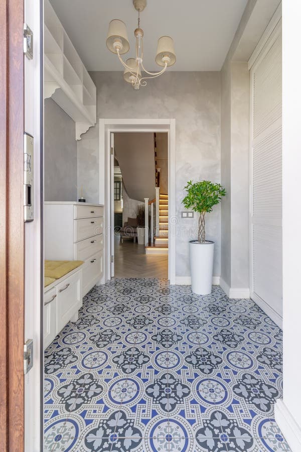 Bright Entrance Hall with Elegant Patterned Flooring and Modern ...