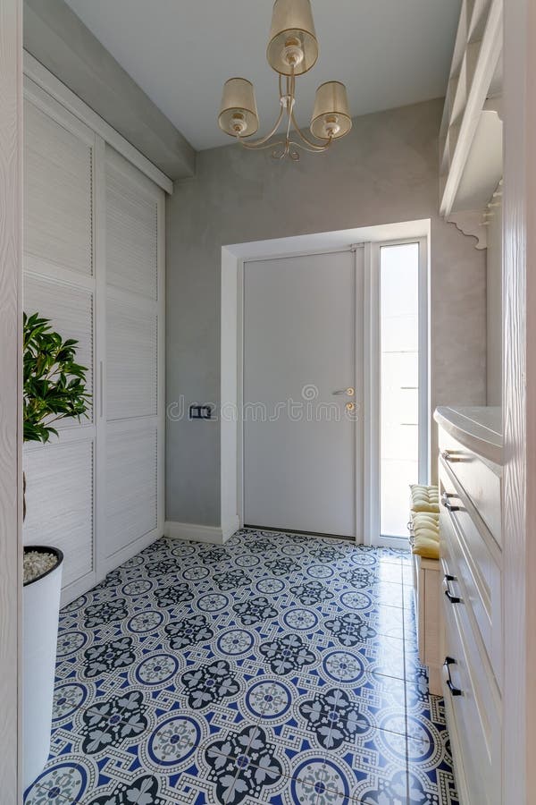 Bright Entrance Hall with Elegant Patterned Flooring and Modern ...