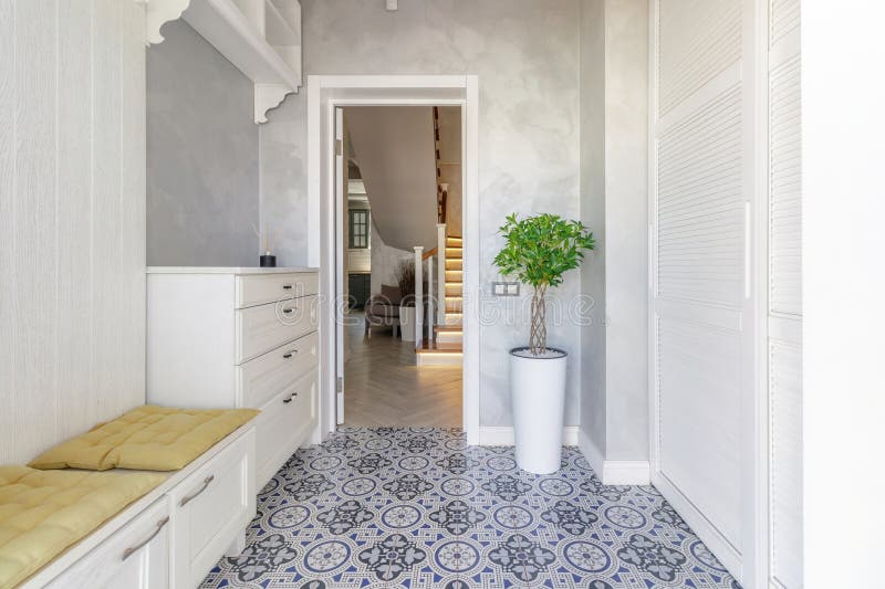 Bright Entrance Hall with Elegant Patterned Flooring and Modern ...