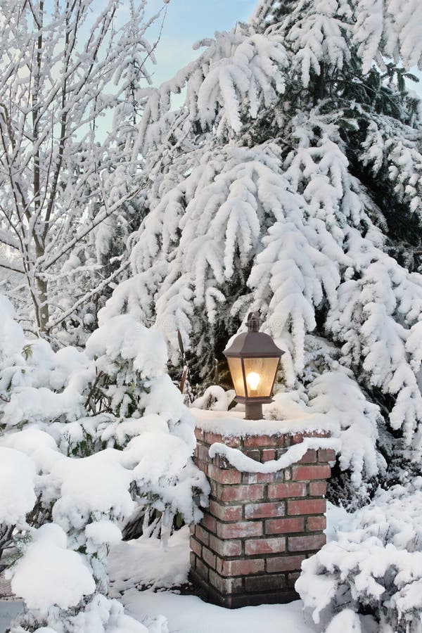 Snow in Illuminated Garden on Winter Evening. Beautiful Illuminated ...