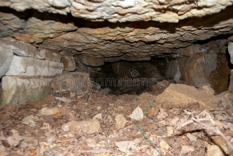 Entrance to a small cave stock photo. Image of mammal - 232383894