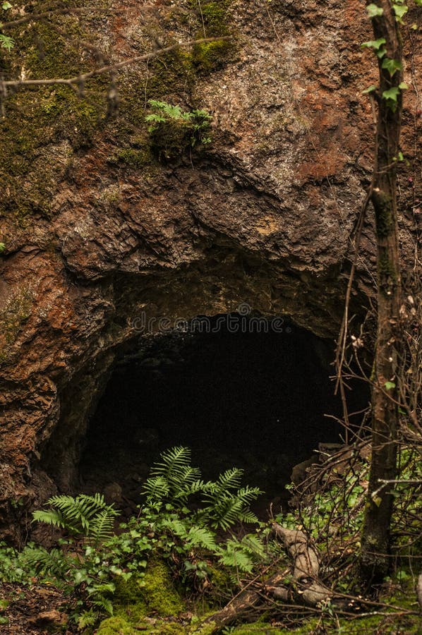 Entrance To a Small Cave with a Thin Tree in the French Pyrenees ...