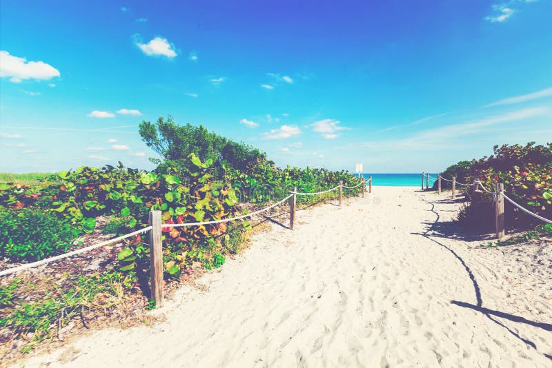 Entrance To a Tropical Beach Stock Photo - Image of coast, sunny: 76382630
