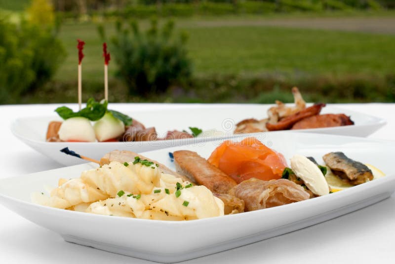 Entree Tasting Plates stock image. Image of carpaccio - 11671945