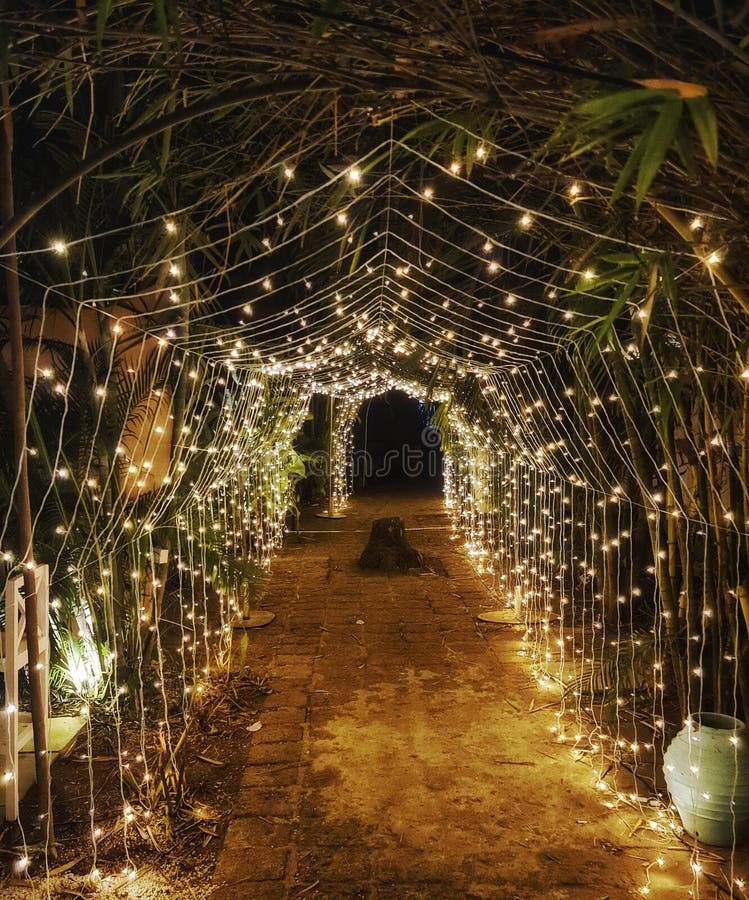 The Entry of a Cafe Which is Full of Lights and I really Loved the Way ...