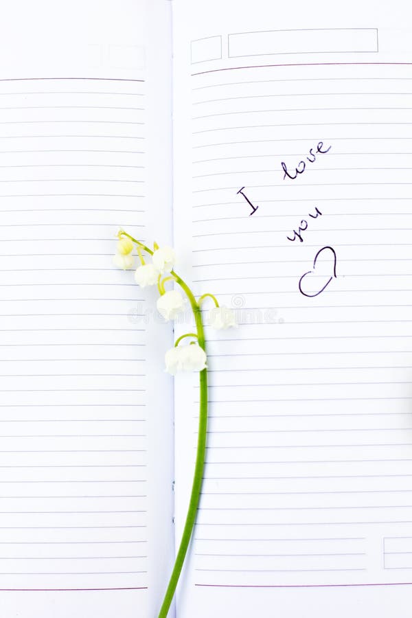 Entry in the diary stock photo. Image of diary, romance - 63866878