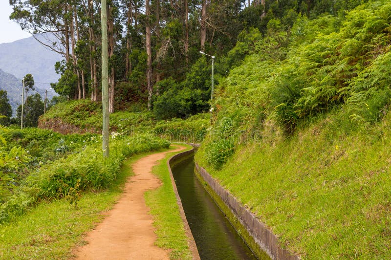Entry in a Levada Walking Path on Madeira, Portugal Stock Photo - Image ...