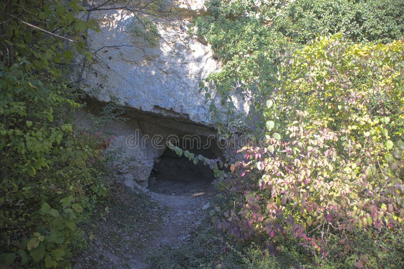 The Entry To a Cave in the Forest Stock Photo - Image of cavern ...