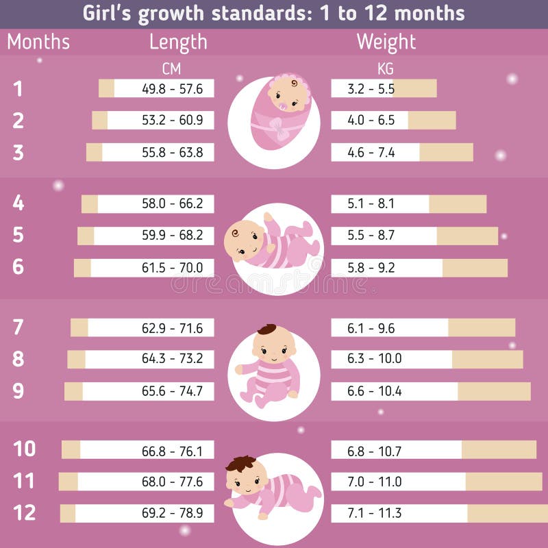 Entwicklung Des Kindes Infographics Vektor Abbildung - Illustration von ...