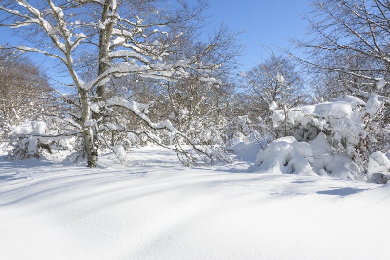 Entzia Mountain Range in Winter, Basque Country, Spain Stock Photo ...