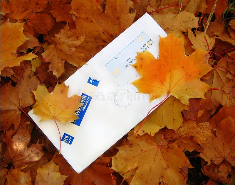 Envelope on autumn foliage stock image. Image of color - 7024969