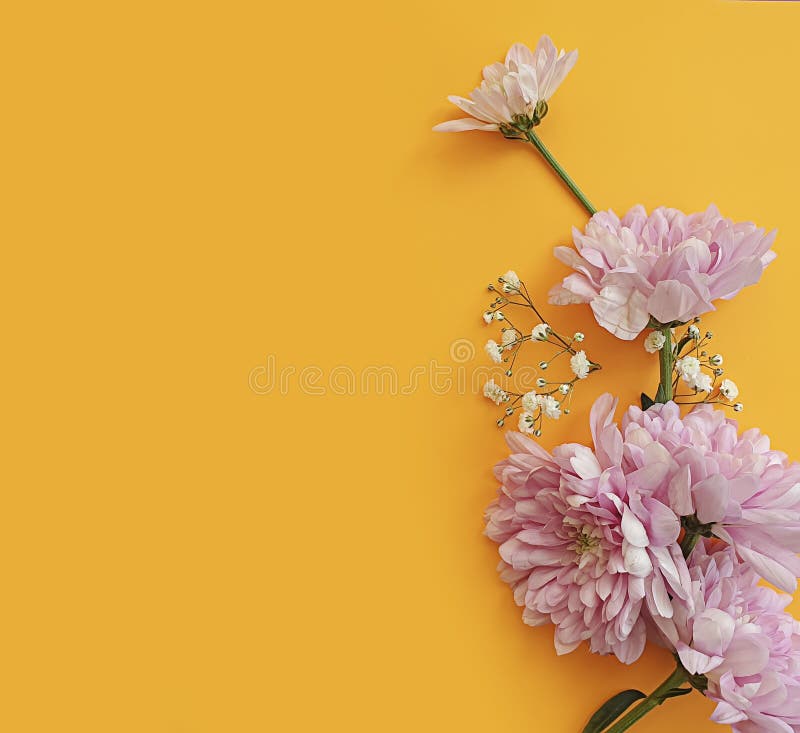 Envelope Flower on Concrete Backgroundn Floral Invitation Stock Photo ...