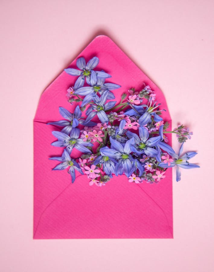 Envelope with flowers stock image. Image of romantic - 216316569