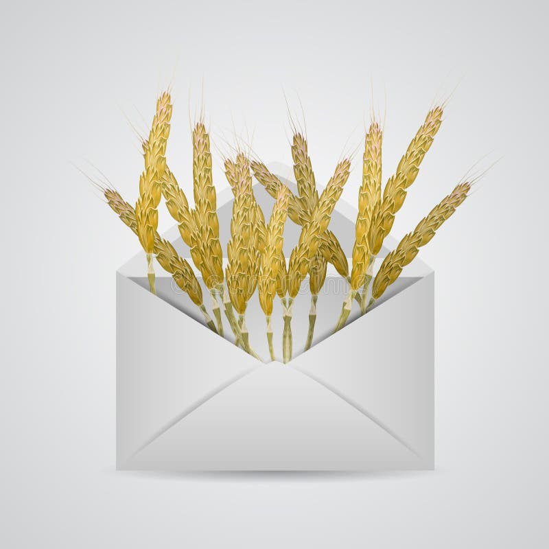 Envelope with Wheat. Isolated Illustration. Stock Illustration ...
