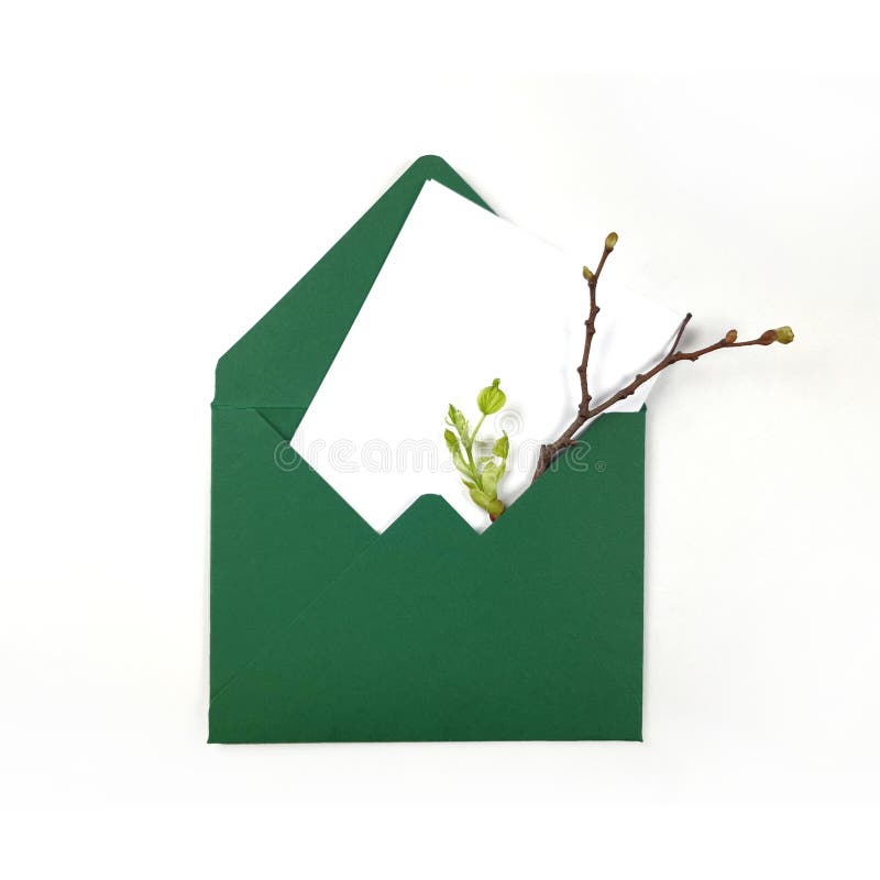 Envelopes with Space for Text. Spring Invitation. Envelope with Twigs ...